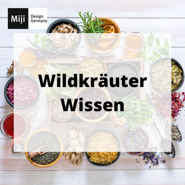 Wildkräuter Wissen - Miji - Design Germany - Newsblog